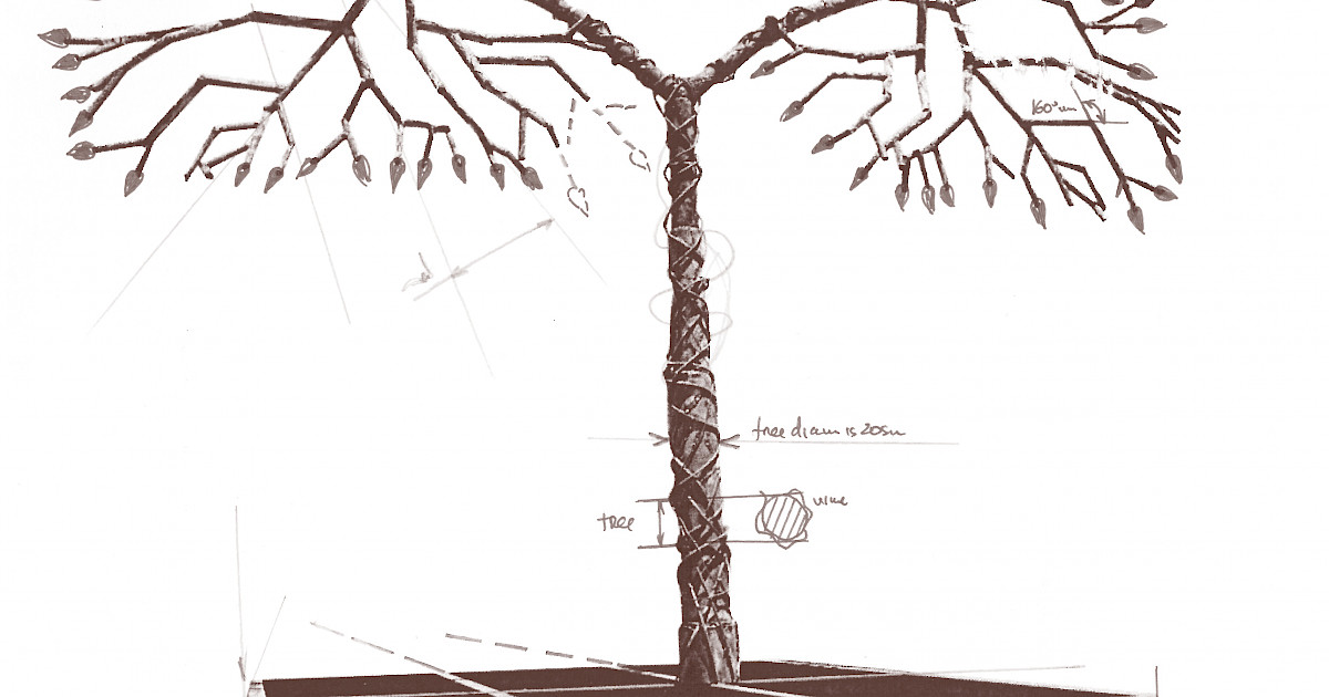 Ağac / The Tree, Nargis magazine | Журнал Nargis